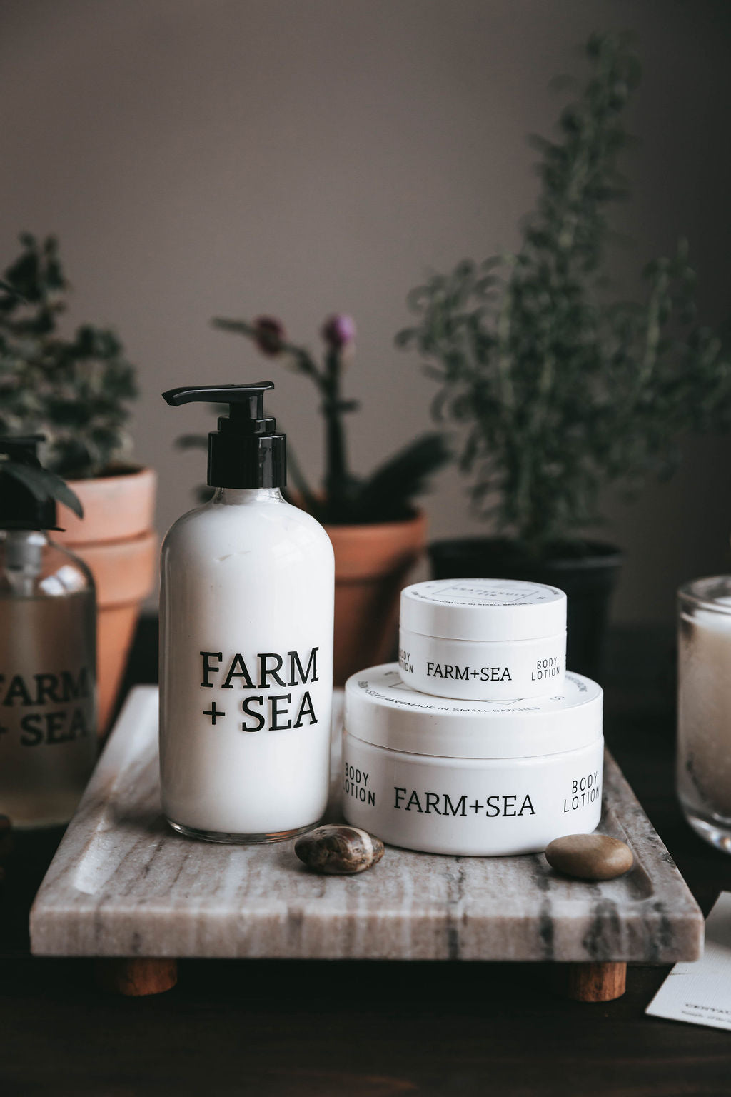 Farm and Sea Wholesale - Body Lotion – Farm + Sea Wholesale